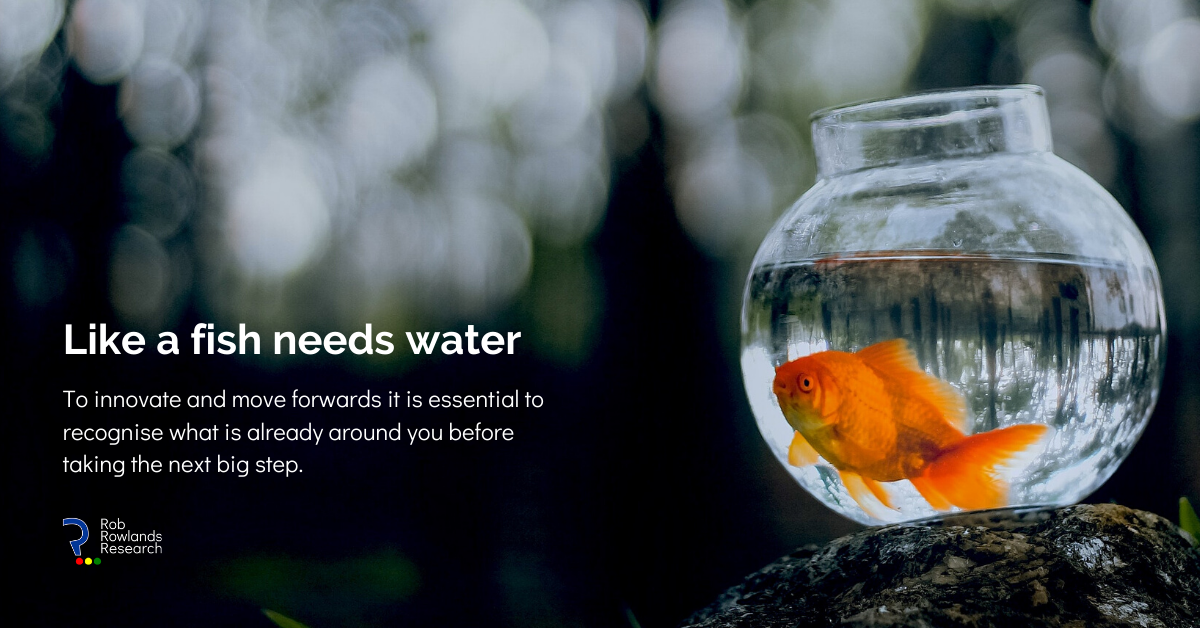 Like a fish needs water | Thinking | Rob Rowlands Research